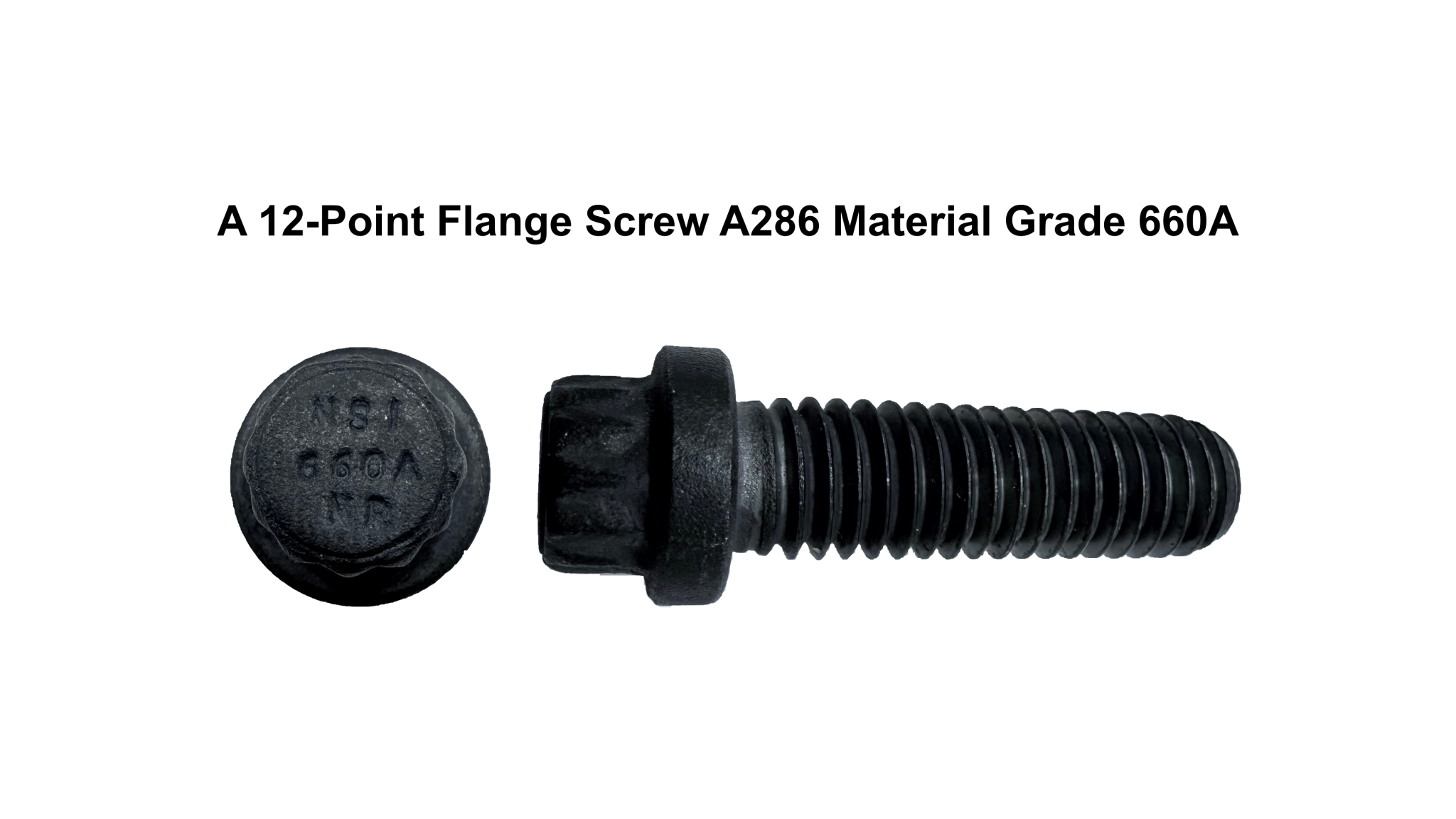 12-pt Flange Screws | Products | Nickel Systems