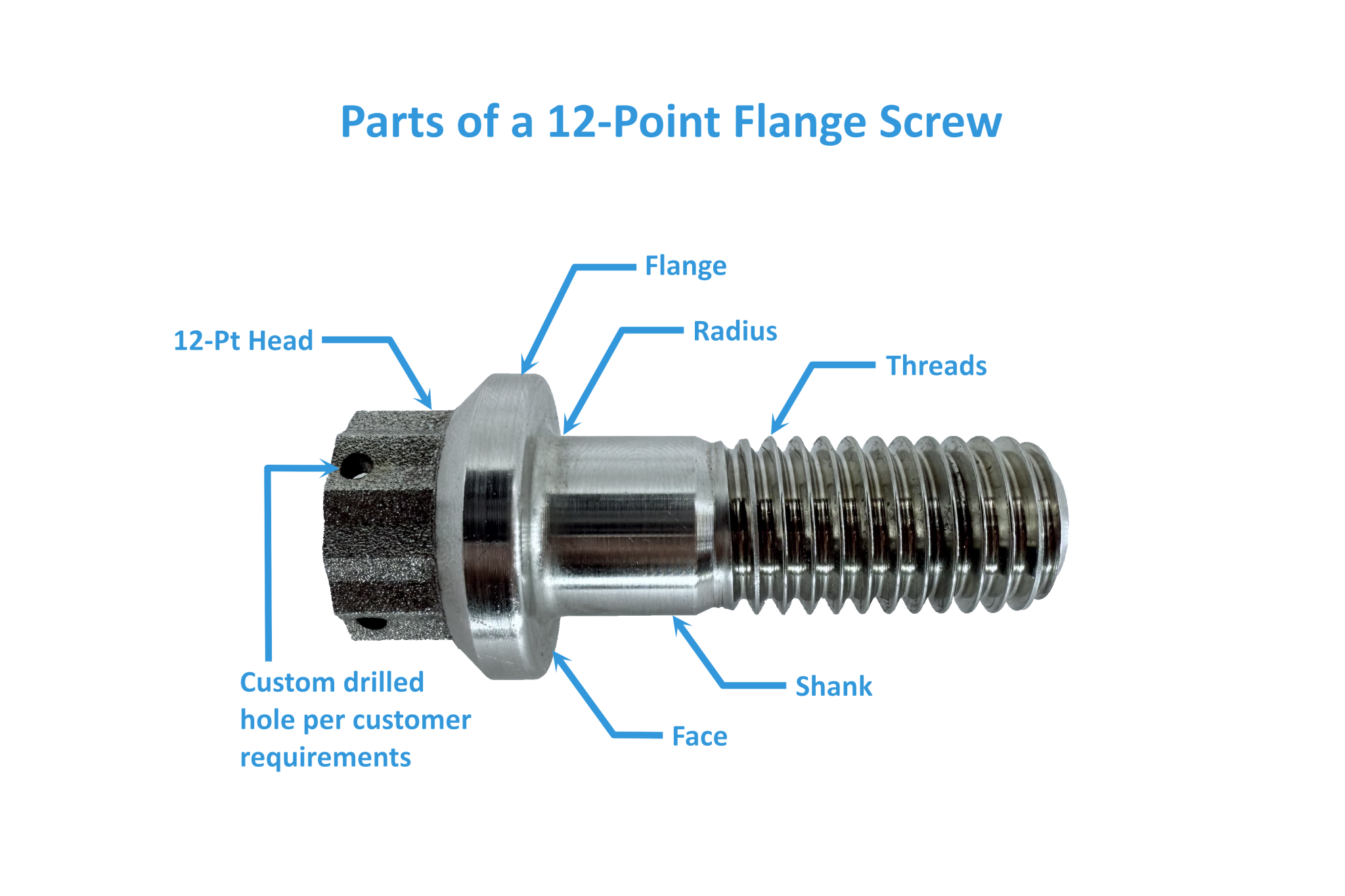 12-pt Flange Screws | Products | Nickel Systems