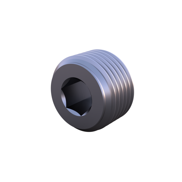 Hex Socket Pipe Plugs | Products | Nickel Systems